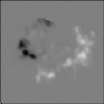 Pythia | pythia